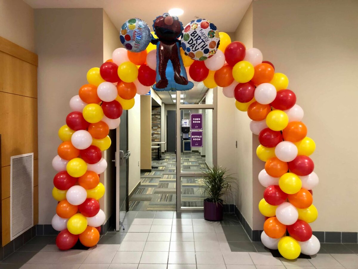 Themed Balloon Arches | Balloon Artistry By Mandana